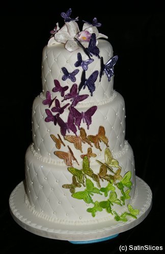 Special Event Cakes | SatinSlices